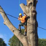 Feature Clips | SingleOps