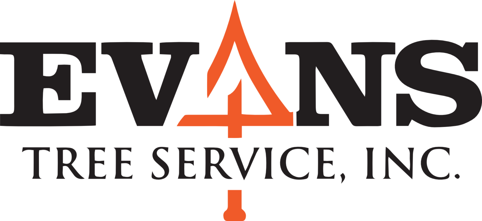 Feature Clips | SingleOps